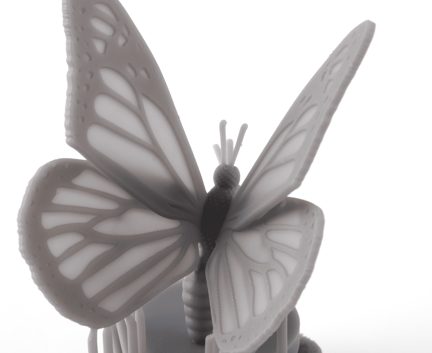 Formlabs® General Purpose Resins - Proto3000